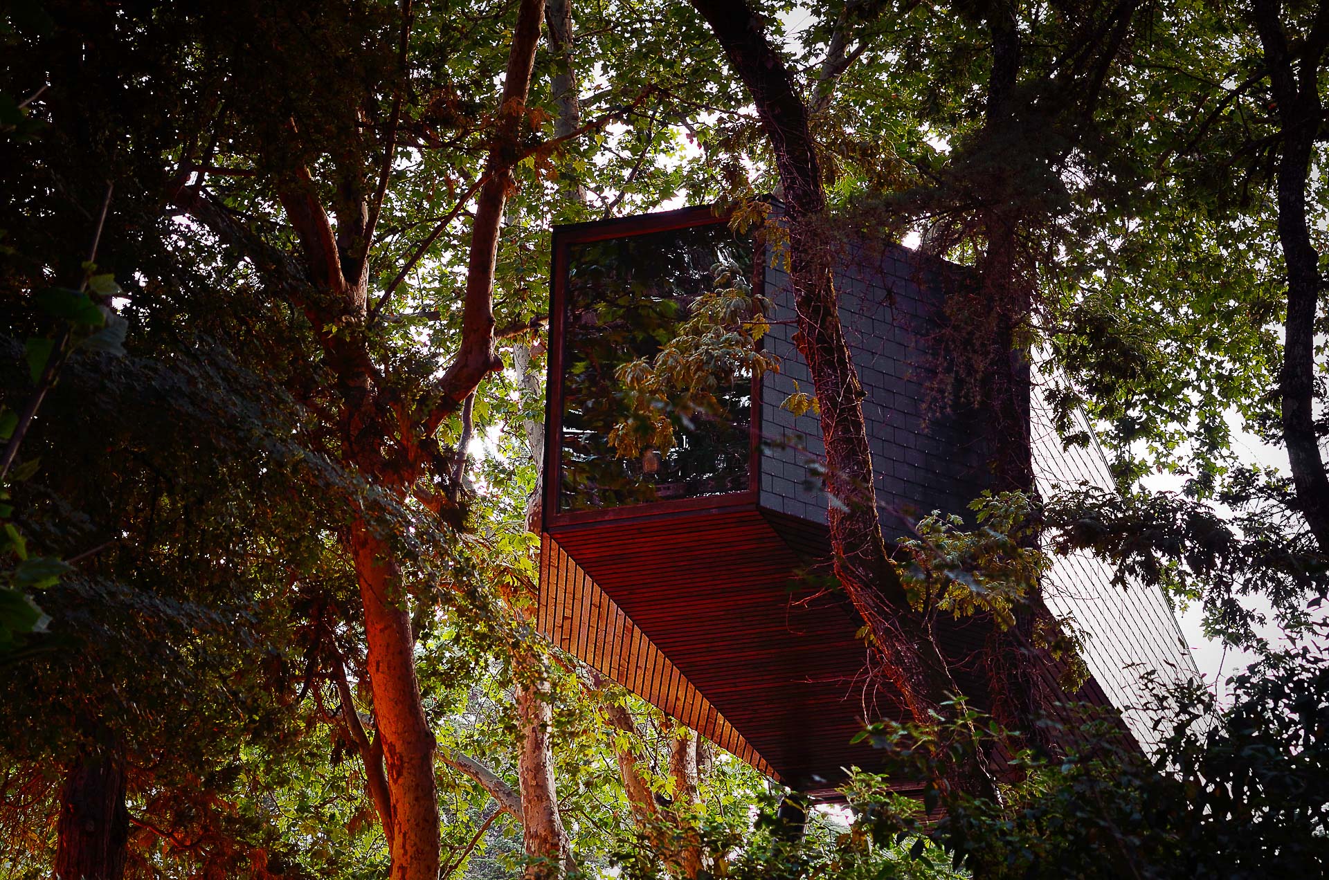 Tree Snake Houses - Rebelo de Andrade Design Studio | Ricardo Oliveira ...